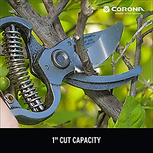 Corona BP 3180D Forged Classic Bypass Pruner with 1 Inch Cutting Capacity, 1", Red