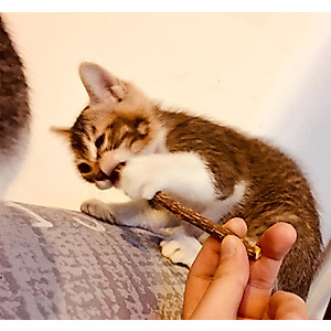 CXP Good Goods Cat Catnip Stick,Silver Vine for Teeth Grinding Chew Toy (26 Pieces)