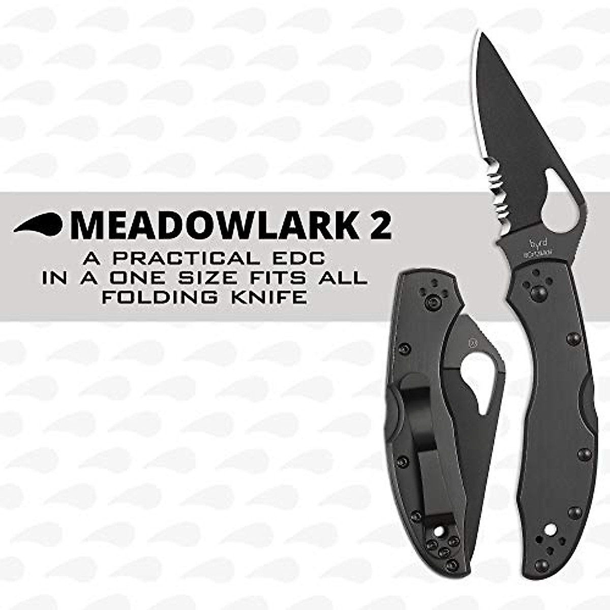 Spyderco Byrd Meadowlark 2 Knife with 2.90" Black Steel Blade and Durable Black Stainless Steel Handle - CombinationEdge - BY04BKPS2