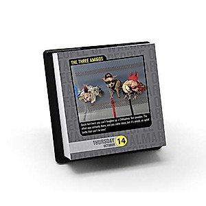 2021 People of Walmart Boxed Calendar: 365 Days of Shop and Awe (Funny Daily Calendar, Desk Gift, White Elephant Gag Gift for Adults)