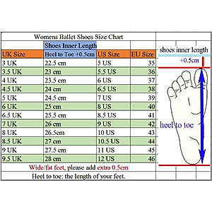 missfiona Women Canvas Ballet Slippers Dance Shoes Adult Practice Yoga Flat Belly Shoes(7, White)