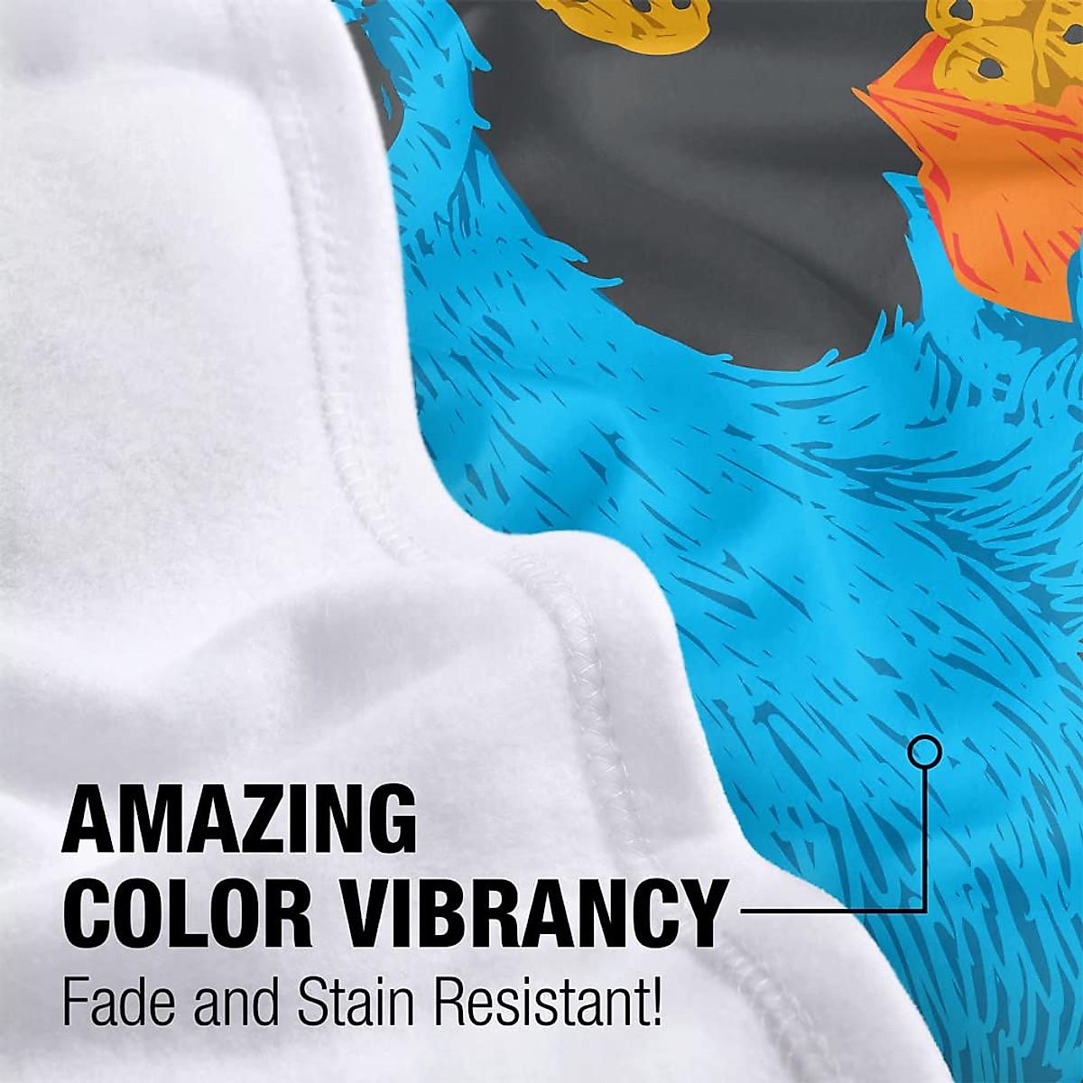 LOGOVISION Sesame Street Lightweight Baby Blanket, 30"X40", More Cookies Unisex for Infants Girls & Boys