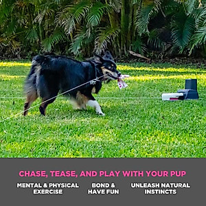 SwiftPaws - Home Original - Remote-Control Chase Toy - for Dogs - Flag Lure Course - Interactive Dog Enrichment Toy - Includes Main Unit, 3 Pulleys, Battery, Charger, Flags, Line, Stakes, Tethers