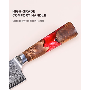 TUO Chef Knife 7 Inch - Japanese Santoku Knife Kitchen Knives, AUS-10 Damascus Steel 45-Layer Hand Forged Resin Handle with Gift Box