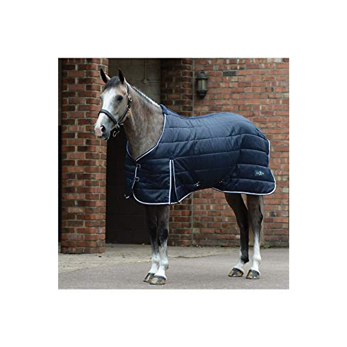 Saxon Channel Quilt Standard Neck Stable Blanket 7