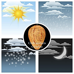 DECYOOL 2 Pack Wasp Nest Decoy Wasp for Hornets Yellow Jackets Outdoor Waterproof Material (Dark Color)