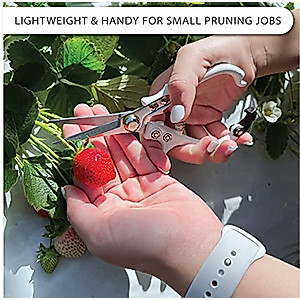 LOOPSEED Plant Pruning Shears Garden Trimming Scissors Precision Hand Pruner Herb Snips Flower Clippers Bonsai Trimmers Straight Sharp Blade Tapered Tip Ergonomic Handle Modern Garden Tools