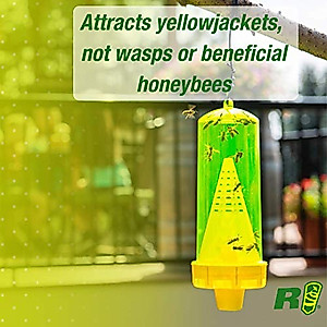 RESCUE! Yellowjacket Attractant – for RESCUE! Reusable Yellowjacket Traps – 4 Week Supply - 20 Pack