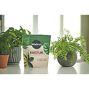 Miracle-Gro Houseplant Potting Mix: Fertilized, Perlite Soil for Indoor Gardening, Designed to Be Less Prone to Gnats, 4 qt.