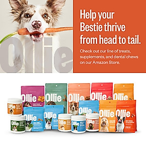Ollie Soft Training Treats Variety Pack - Parmesan & Peanut Butter Recipe - Dog Training Treats All Natural - Healthy Dog Treats - 100% Human Grade - Baked in USA Kitchens 16 Oz.