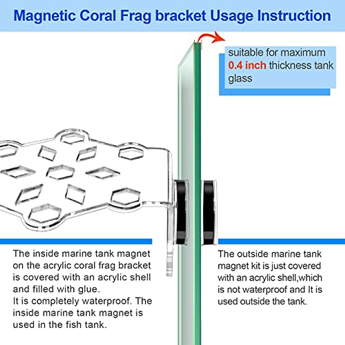 Aquarium Choice Coral Plug Holder M Coral frag Rack Magnetic Holder Reef Magnets Holder for frag Rack with 7 Coral frag Plug Base