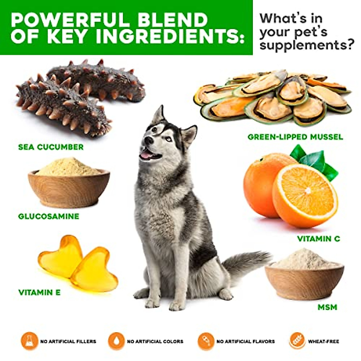 Joint Supplement for Dogs - Green Lipped Mussel, MSM + Glucosamine Formula - Helps to Restore Mobility, Relieve Arthritis & Hip Dysplasia Pain, Reduce Inflammation, No Artificial Flavors (Pack of 1)