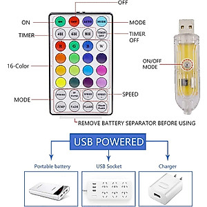 Renoliss USB 66FT 200 LED 16 Colors Changing LED Fairy String Lights with Remote, Red White and Blue Lights with Green Wire & Timer Function for Holiday Decorations, Multicolor & More Solid Colors