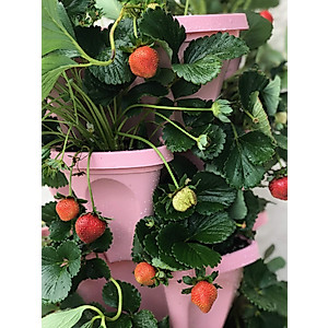 5-Tier Pink Strawberry and Herb Garden Planter - Stackable Gardening Pots with 10 Inch Saucer