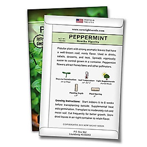 Sow Right Seeds - Peppermint Seeds for Planting - Non-GMO Heirloom Seeds - Full Instructions for Easy Planting and Growing an Herbal Tea Garden, Indoors or Outdoor; Great Gardening Gift