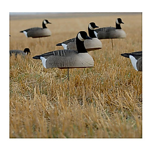 Greenhead Gear Canada Goose Shells