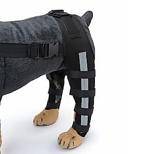 LKJYBG Pet Dog Knee Brace Adjustable Size Reflective Design Elastic Shoulder Strap Hind Legs Protective Cover HJ40 Hind Legs Black S