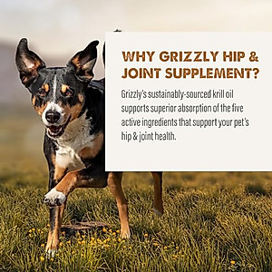GRIZZLY PET PRODUCTS Joint Aid for Dogs Liquid Hip and Joint Support (Extra Strength), 16 fl oz