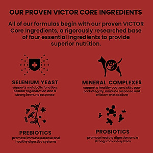 Victor Super Premium Dog Food – Classic Crunchy Dog Treats with Lamb Meal – Gluten-Free Treats for Small, Medium and Large Breed Dogs, 28oz