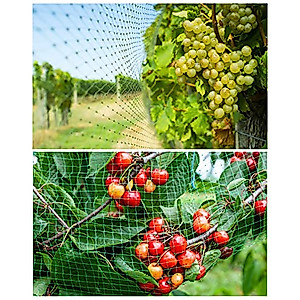 CandyHome Bird Netting for Garden,13Ft x 33Ft Reusable Garden Netting Plants Barrier, Plant Netting Mesh Net Protect Fruit Trees Seedlings Plants from Birds, Squirrels, Cicadas,Rodents