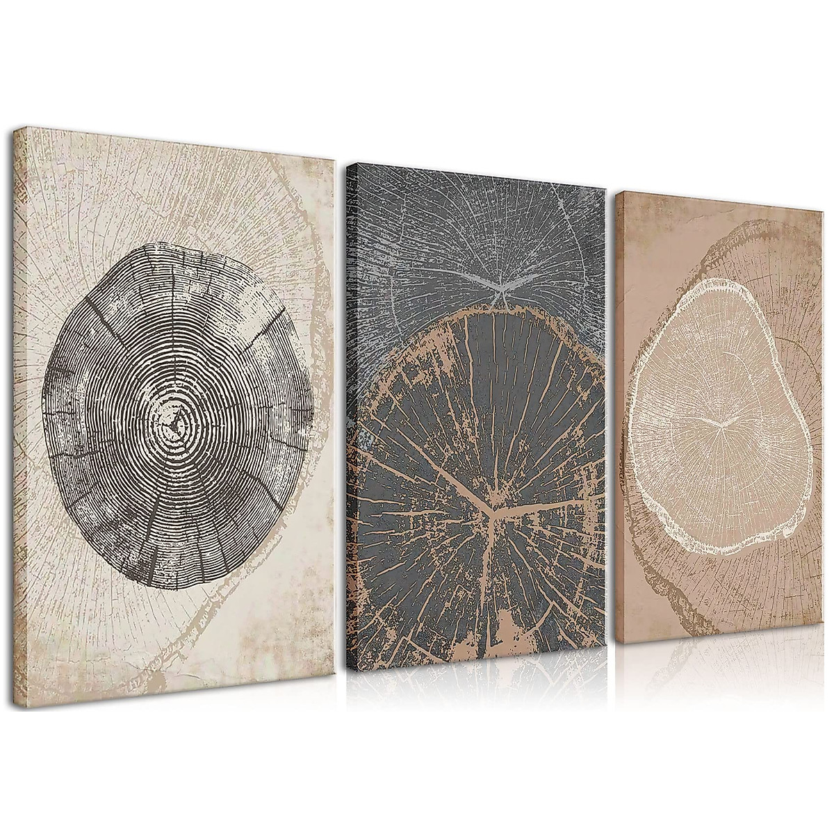 AKWISH 3Pcs Framed Tree Ring Canvas Wall Art Print Pastel Gray Wood Spirals Picture Nature Abstract Drawings Poster Modern Minimalist Wall Decor for Living Room Bedroom Home Office 16"x24"x3