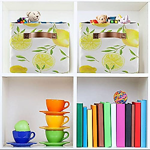 xigua Fresh Lemons Pattern Square Storage Basket,Collapsible Sturdy Fabric Storage Basket Cube W/Handles for Clothes Toy Closet(1 pcs)