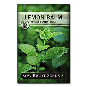 Sow Right Seeds - Herbal Tea Collection - Lemon Balm, Chamomile, Peppermint, Lavender, Echinacea Herb Seed for Planting; Non-GMO Heirloom Seed, Instructions to Plant Indoor or Outdoor; Gardening Gift