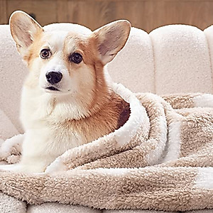 Bertte Fluffy Sherpa Throw Blanket Ultra Soft Warm Lightweight Plaid Shaggy Blanket for Couch Sofa Travel, Premium Reversible Decorative Blanket for All Seasons (Checker Beige, 60in x 80in)