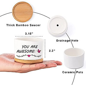 Inspirational Gifts for Women, You are Awesome, Birthday Gift for Grandma Mom Sister Friend, Garden Decor Planter Succulent Pots