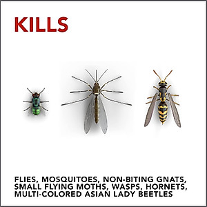 Raid Wasp and Hornet Killer (Pack - 10)