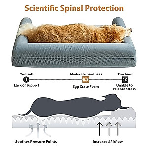 LNSSFFER Washable Dog Beds for Medium Dogs, Orthopedic Dog Sofa Bed with Removable Cover & Waterproof Lining, Washable Pet Couch Bed with Side, Memory Foam Dog Bed for Medium Dog & Cat Sleeping, Grey