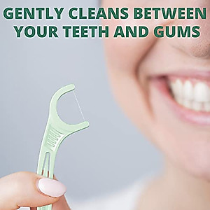 Plackers Micro Mint Dental Floss Picks with Travel Case, 12 Count (Color may vary)