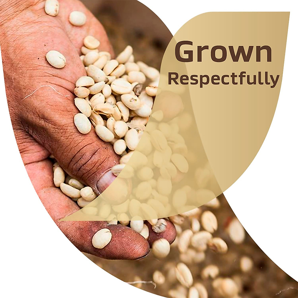 NESCAFE TASTER'S CHOICE Hazelnut Instant Coffee Beverage, 0.1 ounce 16 Count (3 packs)