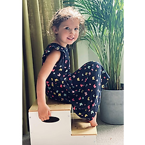 Tender Leaf Toys - Forest Steps - Lightweight and Portable Step Stool for Kids with Storage Space and Handles - Easy to Move, Great for Home, Kitchen, Nursery Room, and Countertop - Age 3+