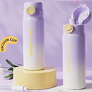 bukebro Stainless Steel Vacuum Insulated Water Bottles Leak Proof with Straw,keep warm|cool,Gifts for him|her,used in office,outdoor sports 17oz/500ml (17oz purple)