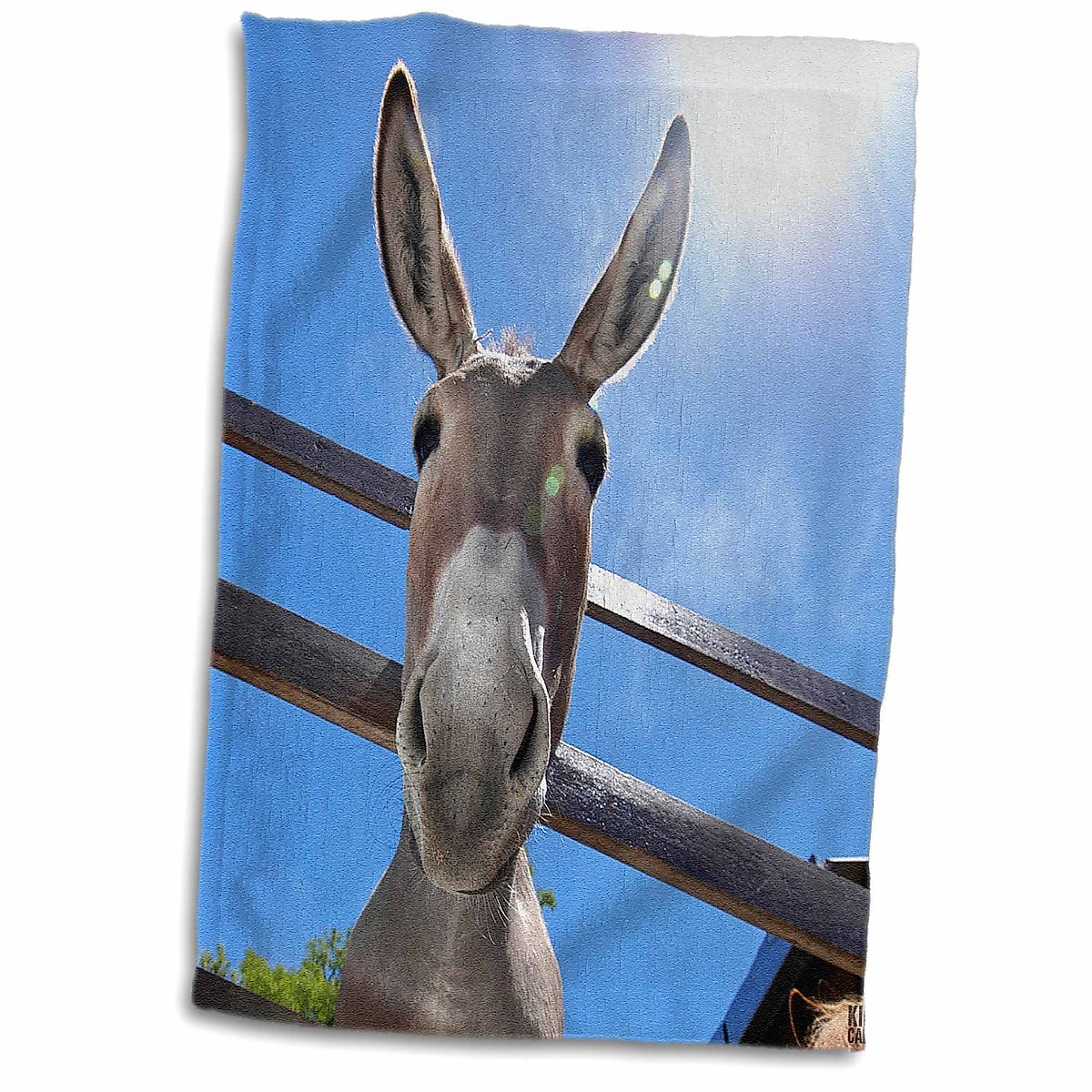 3D Rose Donkey in A Farm Towel, 15 x 22