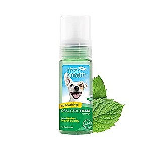 TropiClean Fresh Breath Foam for Dogs & Cats | Travel-Ready Dog Breath Freshener Foam for Stinky Breath | Made in the USA | 4.5 oz