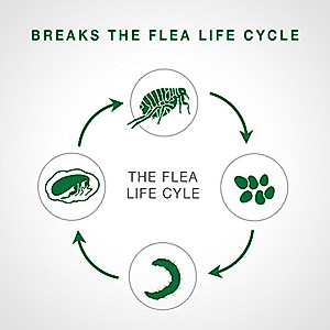 Bayer Animal Health Advantage II Extra Large Dog 6-Pack