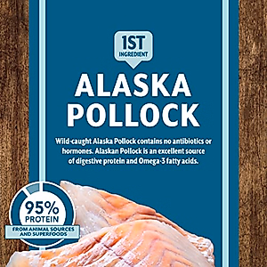 Venture Alaska Pollock Meal & Pumpkin Limited Ingredient Dry Dog Food