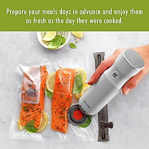 ZWILLING Fresh & Save Set 10-pc Vacuum Sealer Bags for Food, Reusable Sous Vide Bags, Reusable Food Storage Bags for Meal Prep, Reusable Snack Bags, Dishwasher Safe, Assorted, Clear