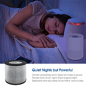 HAMVUS 2 Pack 2801 Replacement Filter Compatible with Bi-ssell 2801, 2780, 2780A, 2780B, 2780P, 27809 Hight Efficiency and Carbon Filter, 2801 MYair Personal Air Purifier Replacement Filter