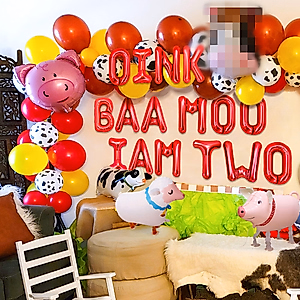 JeVenis oink baa moo i am two balloons moo moo i am two balloons farm 2nd birthday decoration barnyard 2nd birthday decoration holy cow i am two decoration