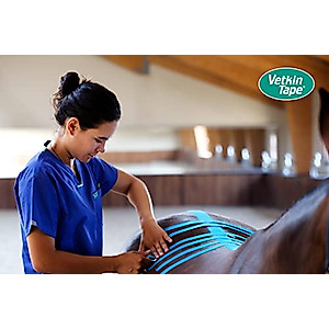 VETKIN VetkinTape® Veterinary Kinesiology Tape Blue | Kinesiology Tape for Horses & Dogs | Equine & Canine Kinesiotape | Latex Free and TÜV Quality Mark Certified Ktape | 1.2 inch | Pack of 2 Rolls