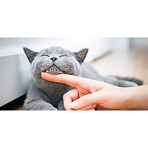 PET SUPPLEMENTS cat Omega 3 Fatty acids - Omega 3 - for Cats - Heart Brain and Joint Function - SOFTGELS - cat Joint Health Supplement - 1 Bottle (180 SOFTGELS)