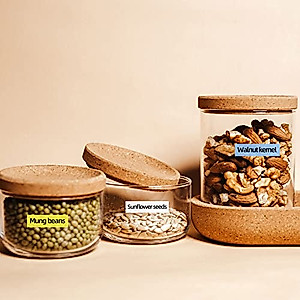 6 x Multi Color Fluorescent Label 12mm Replacement for Brother P Touch M Tape M-K231 M-KC31 M-KD31 M-KB31 M-KBL31 M-KP31 Work with Brother Ptouch PT-M95 PT-90 PT-70 PT-65 PT-85 Label Maker Refills