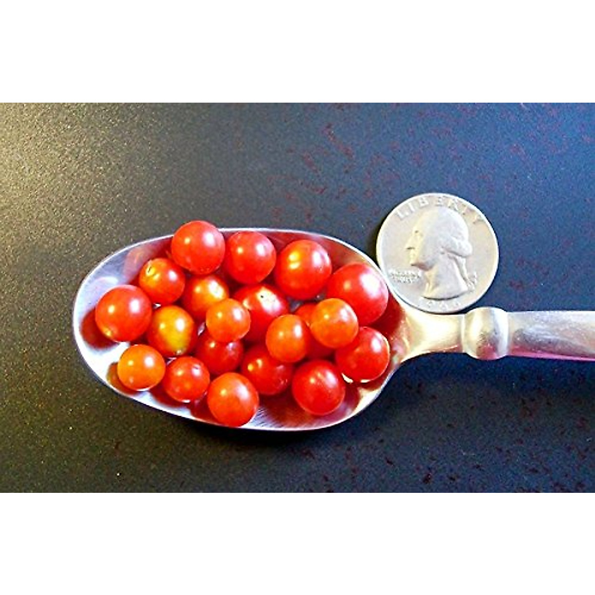 20+ Worlds Smallest Spoon Currant Tomato Seeds, Early, Heirloom Non-GMO, Rare, Early, Vigorous, Sweet, Indeterminate, Open-Pollinated, Delicious, from USA