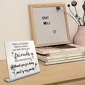 Friendship Gift for Women Friend Gifts for Your Best Friend Going Away Gifts Plaque for Coworker Women Stainless Steel Retirement Gifts Birthday Gifts for Woman Friendship Keepsake Decor