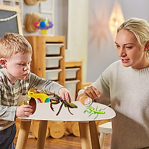 Odowalker 24PCS Life Cycle Figures,Insect Figurines Life Cycle of Monarch Butterfly,Honey Bee,Ladybug,Praying Mantis,Dragonfly,Grasshopper Safariology Bug Figures Kits Educational School Project