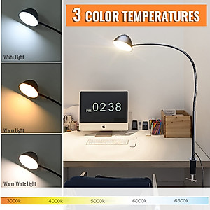 CeSunlight Clamp Lamp, Clip on Lamp, Desk Lamp with Clamp, 12W, 1300 LMS, 3 Color Modes, 10 Brightness Levels, 30 Inches Long Gooseneck Light, Perfect for Sewing, Reading, Home, Office