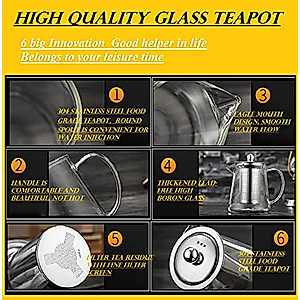 Mini Size Glass Teapot Tea Kettle-with Stainless Steel Removable Infuser for Blooming Tea & Loose Leaf Tea, Microwave & Stovetop Safe, 550ML/18oz (S-550)